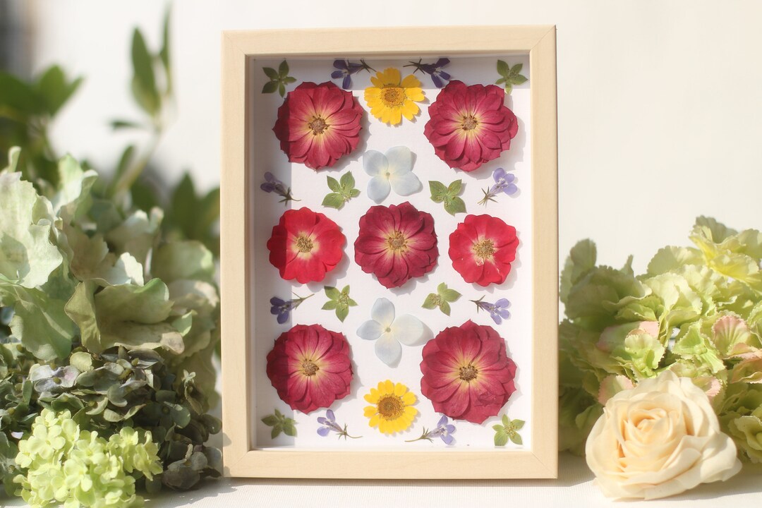 Pressed Flower Frame, Pressed Flower Hanging /standing Frame, Botanical ...