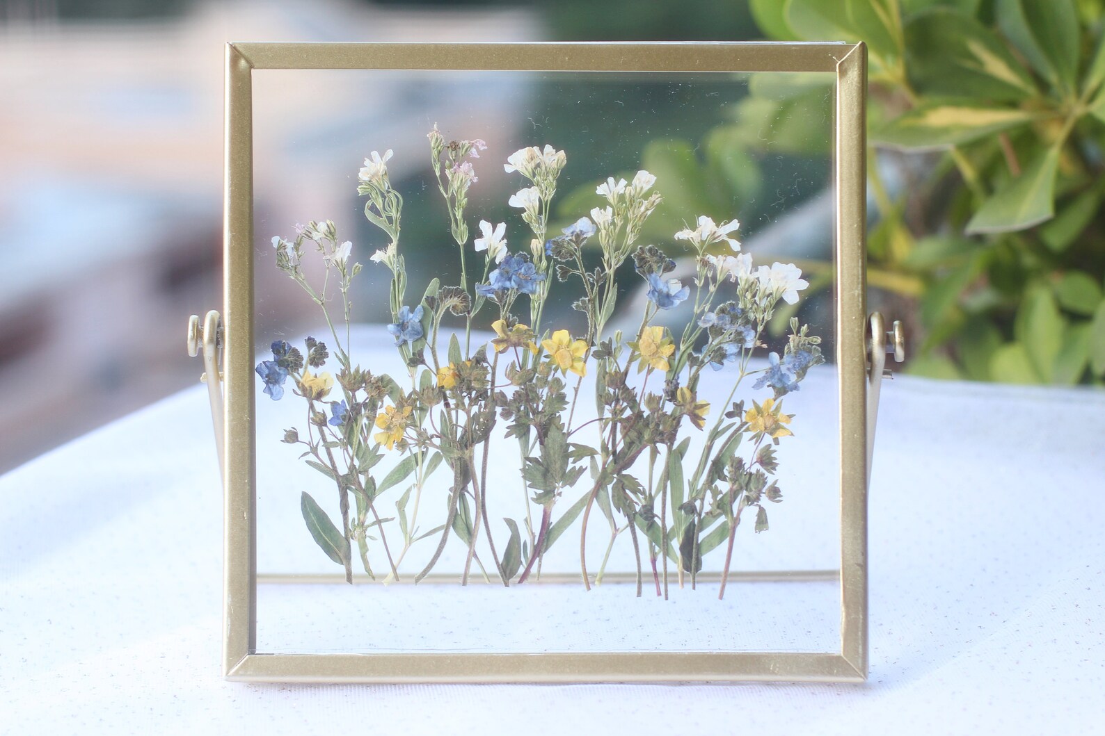 Pressed Flower Frame Pressed Flower Floating Frame Real - Etsy