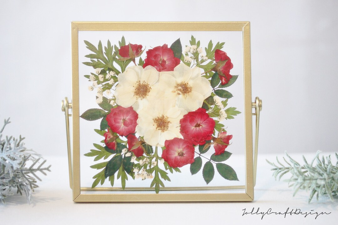 White & Red Pressed Flower Herbarium Frame, Floral Picture, Botanical ...