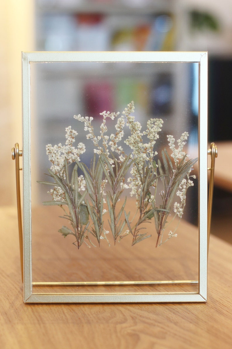 Dried Flower Pressed Flower Frame Pressed Flower Floating - Etsy