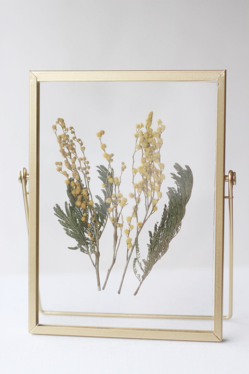 Pressed Flower Frame Real Natural Flowers Floating Stand - Etsy