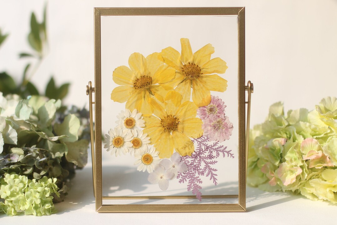 Pressed Flower Frame, Floating Frame, Botanical Frame, Herbarium Frame ...