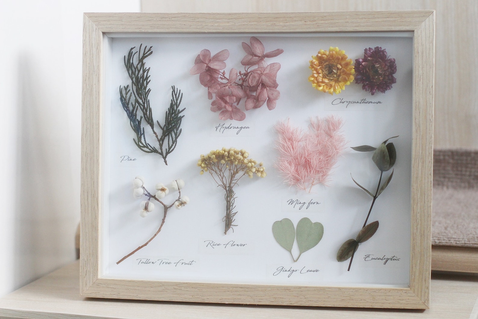 Herbarium Real Natural Driedflower Specimen Frame for Home Decor, 3D ...