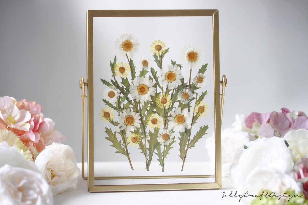 Pressed Flower Frame, Pressed Flower Art, Floating Frame, Herbarium ...