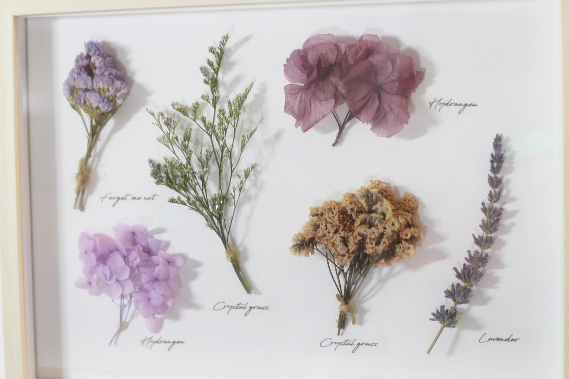 Herbarium Dried Natural Flower Frame Wall Decor 3D Nature - Etsy