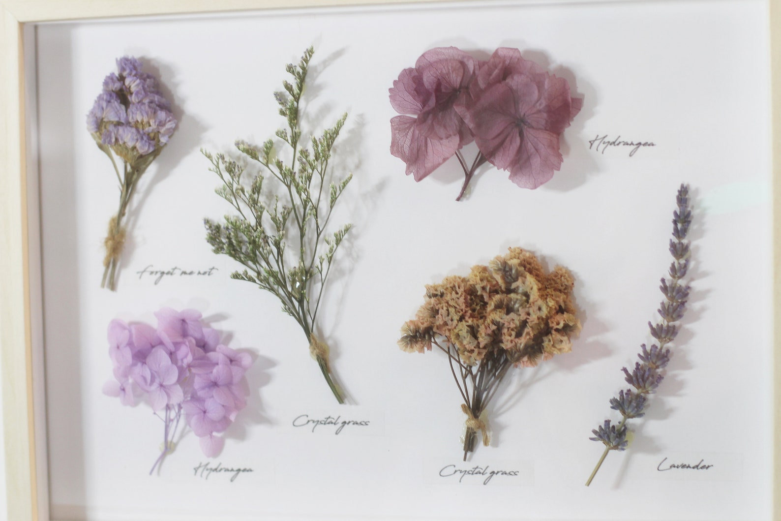 Herbarium Dried Natural Flower Frame Wall Decor 3D Nature - Etsy