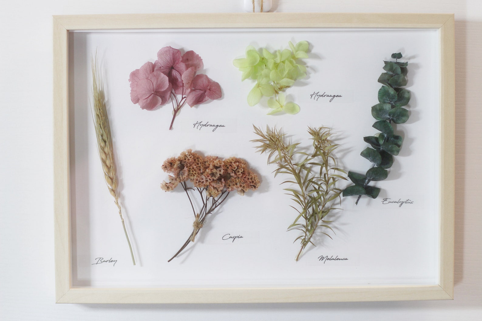 Herbarium Dried Natural Flower Frame Wall Decor 3D Nature - Etsy
