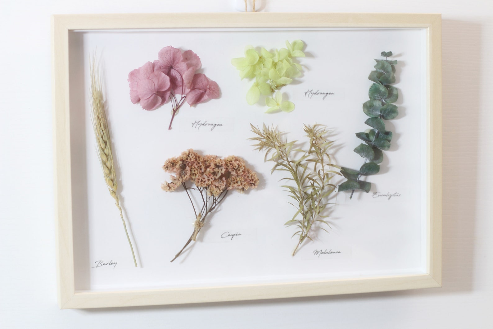 Herbarium Dried Natural Flower Frame Wall Decor 3D Nature - Etsy