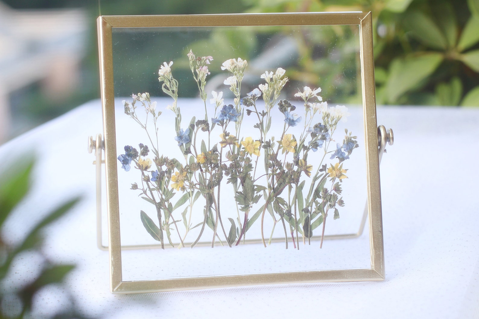 Pressed Flower Frame Pressed Flower Floating Frame Real - Etsy