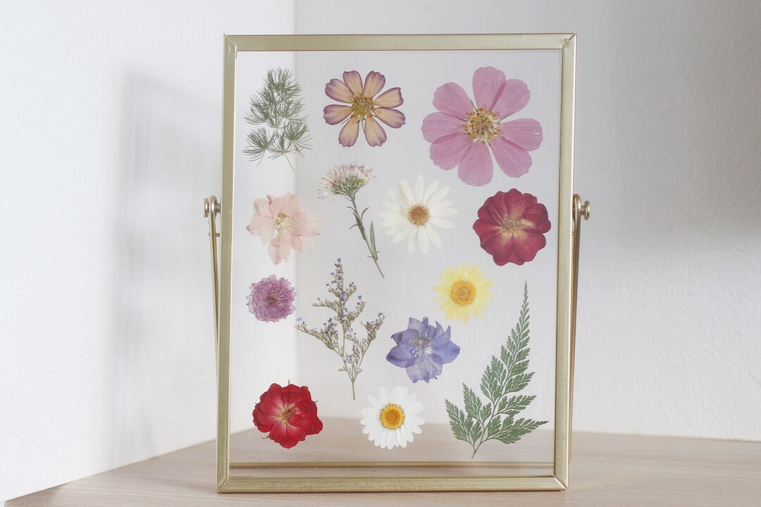 Pressed Flower Frame Pressed Flower Herbarium Frame, Pressed Flower ...