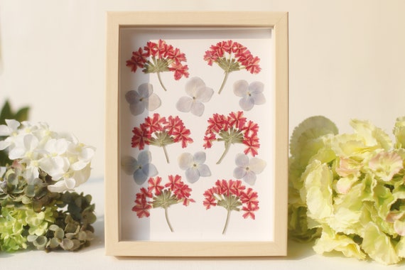 Pressed Flower Frame Pressed Flower Hanging /standing Frame - Etsy