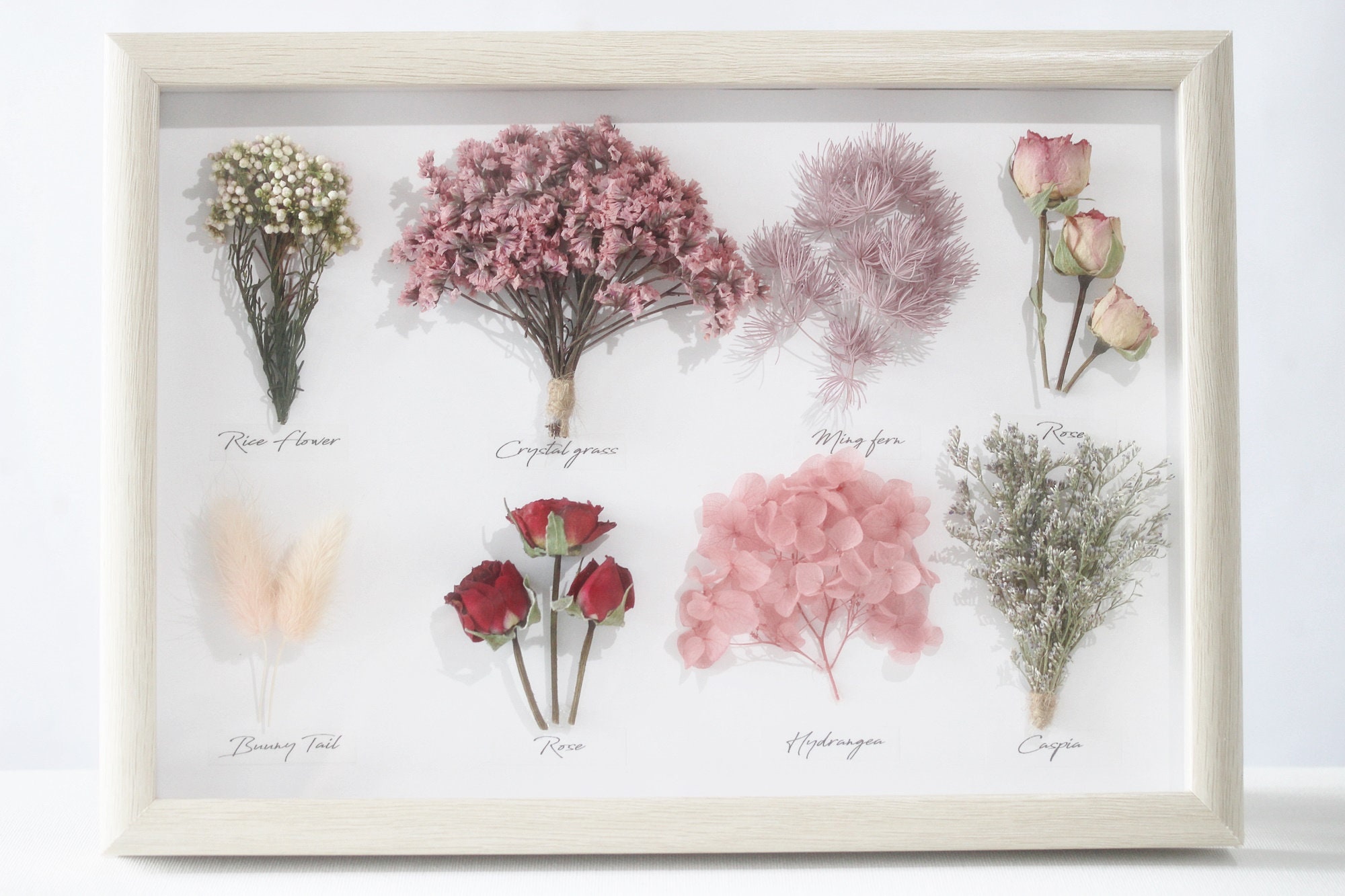 Herbarium Dried Natural Flower Frame Nature Dried Flower - Etsy