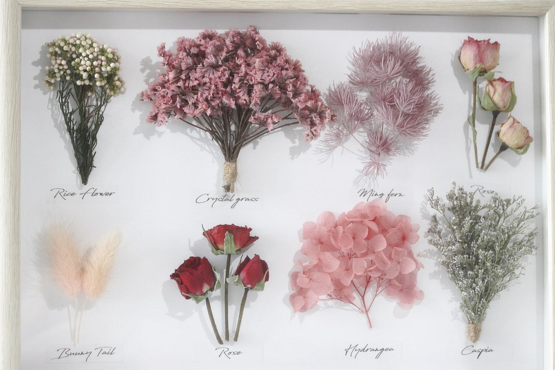 Herbarium Dried Natural Flower Frame Nature Dried Flower - Etsy