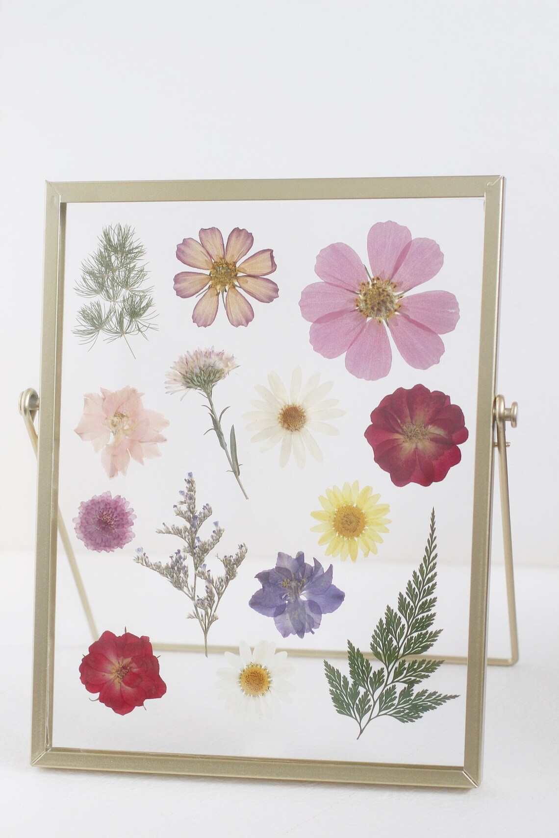 Pressed Flower Frame Pressed Flower Herbarium Frame, Pressed Flower ...