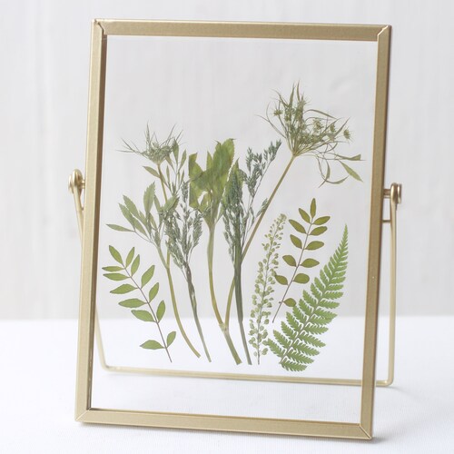 Herbarium Dried Flower Frame Pressed Flower Frame Pressed - Etsy