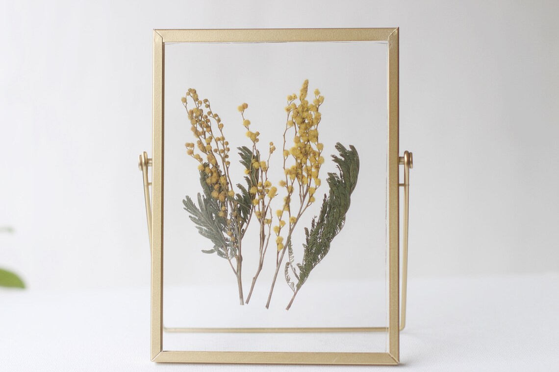 Pressed Flower Frame Real Natural Flowers Floating Stand - Etsy