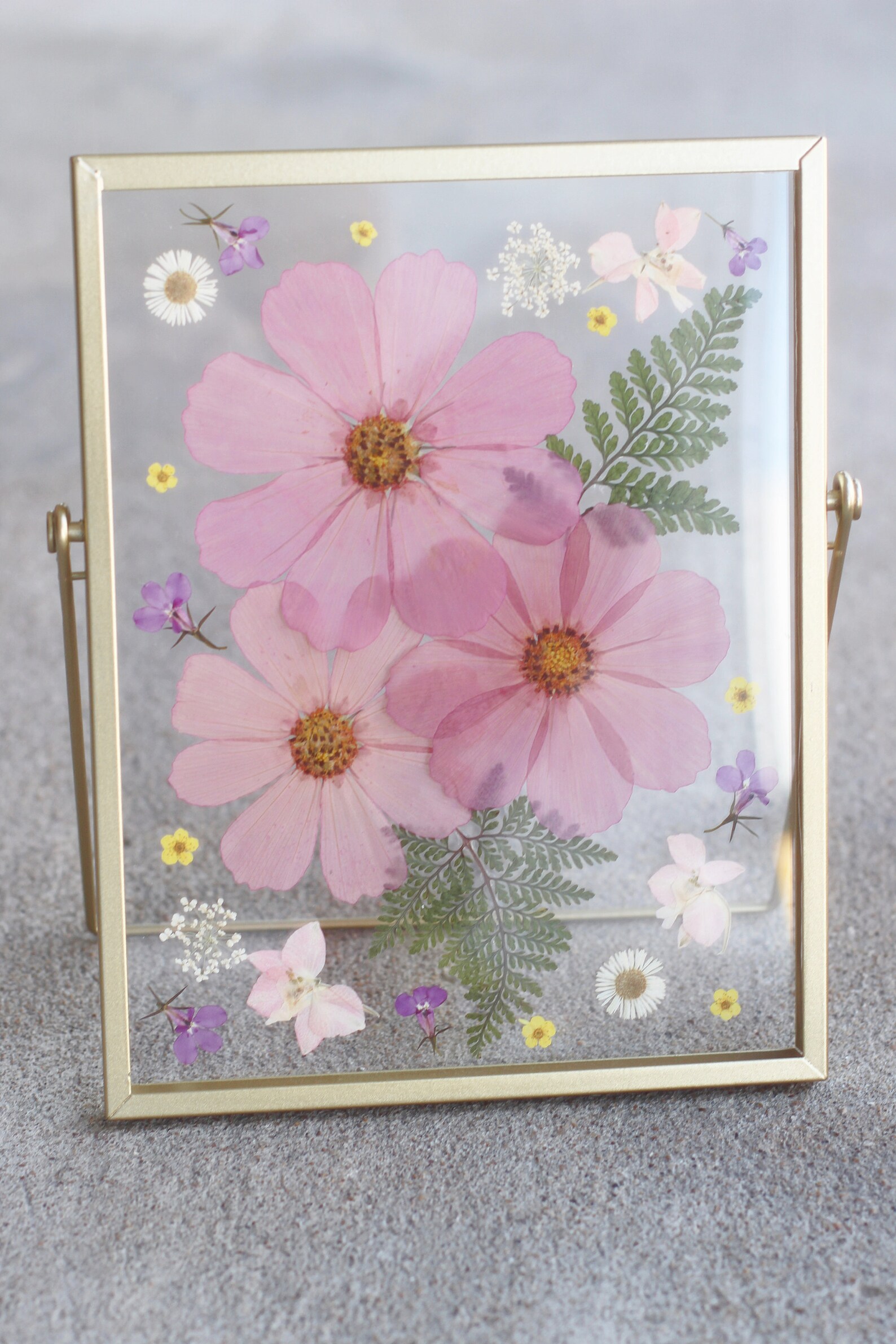 Pressed Flower Frame Pressed Flower Floating Frame Pressed - Etsy