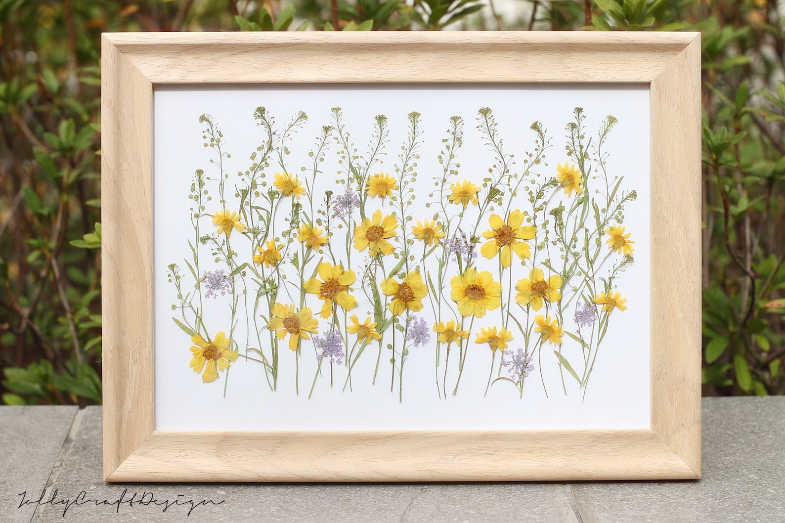 Herbarium Pressed Flowers Hanging Frame, Nature Dried Flower Frame ...
