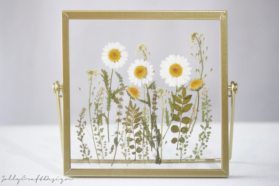 White Flowers & Herbs Pressed Flower Frame, Herbarium Frame, Flower ...