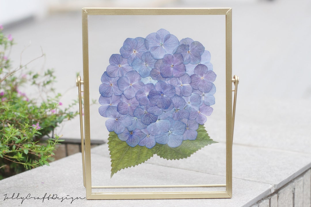Hand Pressed Deep Purple Flower Frame, Flower Floating Frame, Floral ...