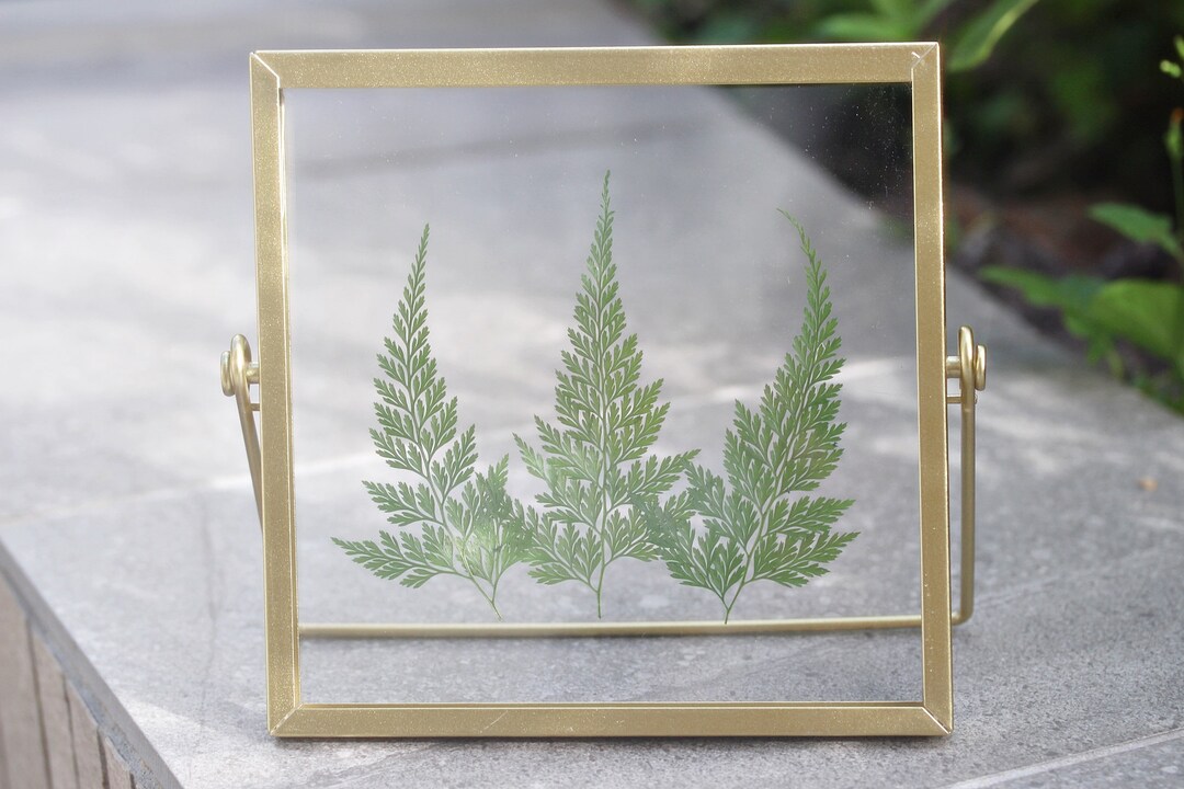 Pressed Flowers Herbarium Frame, Floating Frame, Botanical Frame ...