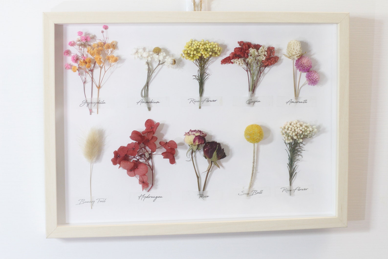Herbarium Dried Natural Flower Frame Wall Decor 3D Nature - Etsy