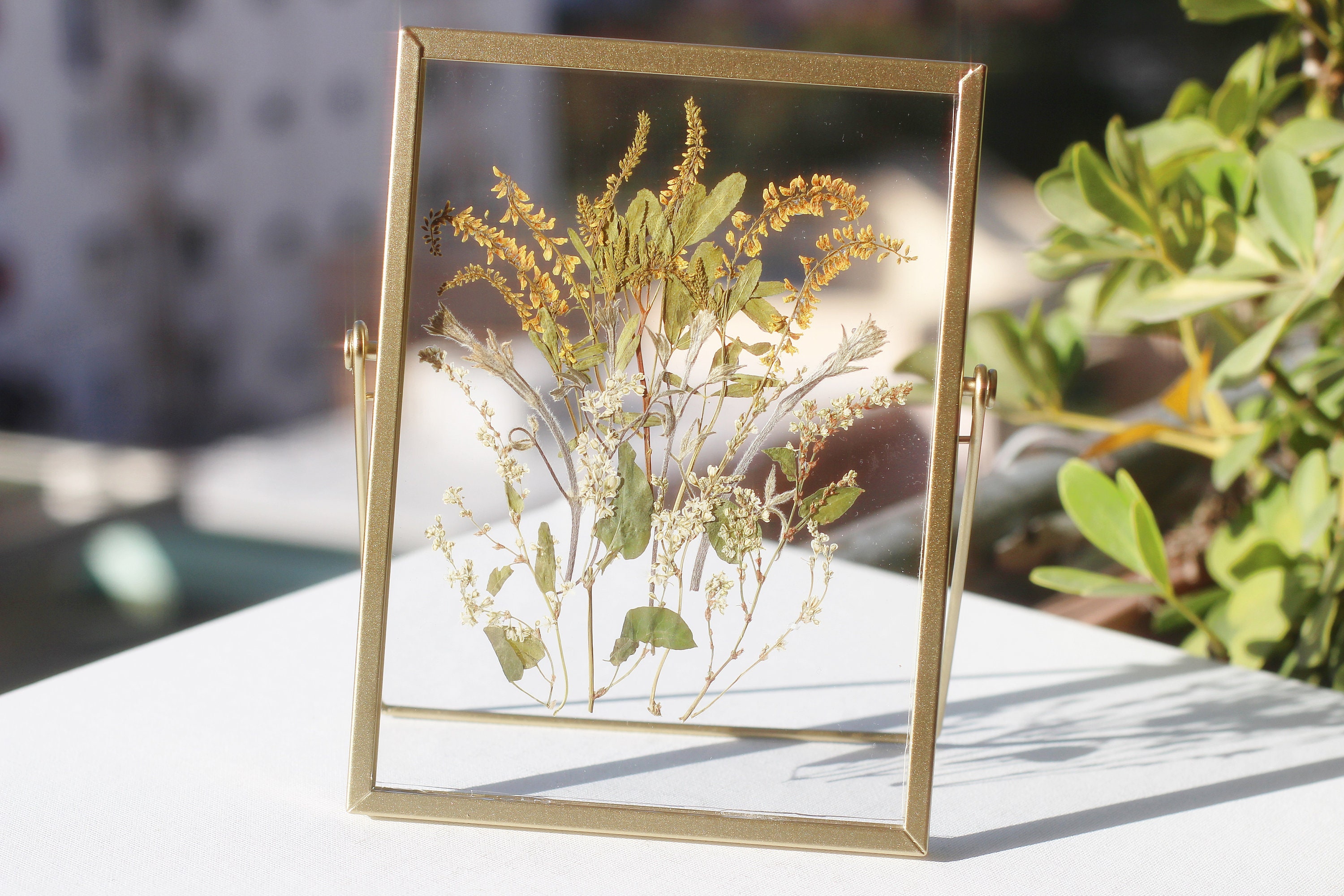 Dried Flower Pressed Flower Frame, Pressed Flower Floating Frame ...