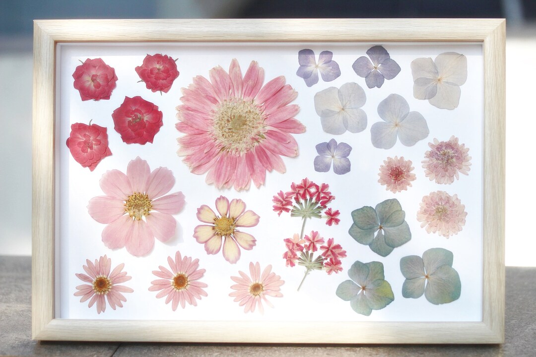 Herbarium Real Dried Natural Flower Standing/hanging Frame, Dried ...