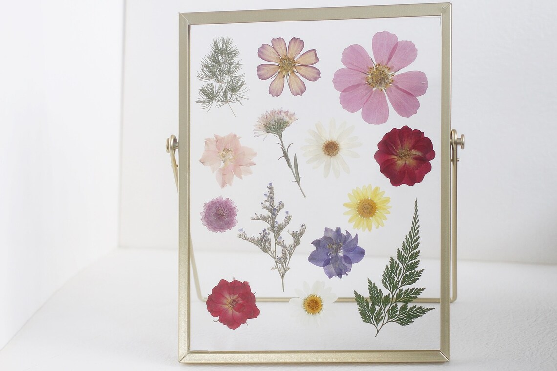 Pressed Flower Frame Pressed Flower Herbarium Frame Pressed - Etsy