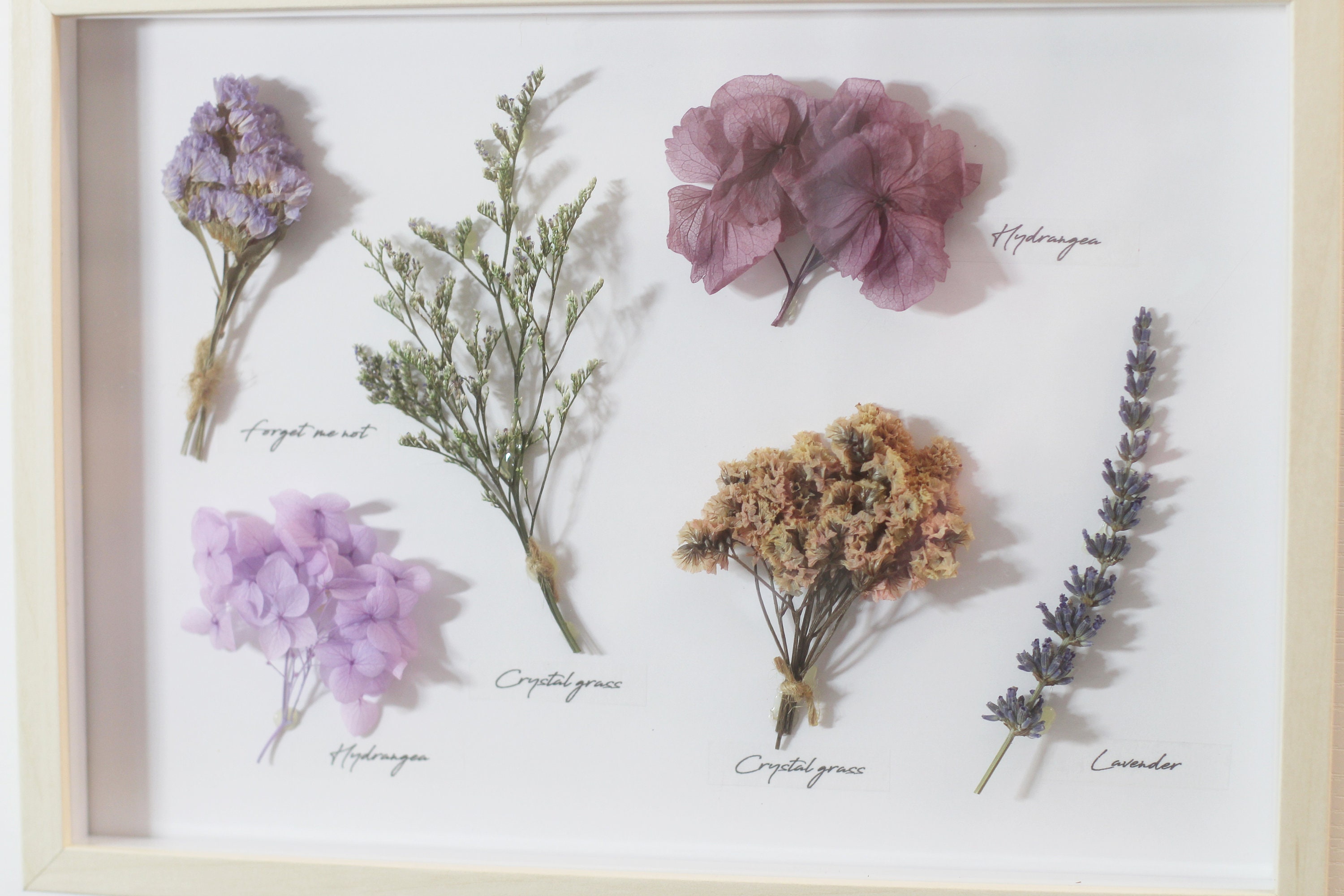 Herbarium Dried Natural Flower Frame Wall Decor 3D Nature - Etsy