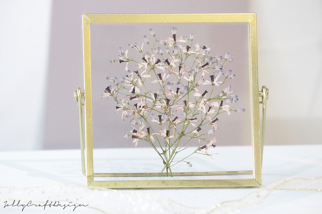 Pressed Flower Frame Pressed Flower Art Frame Small Blossom Pressed ...