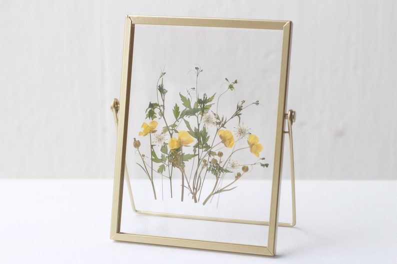 Dried Flower Frame, Pressed Flower Frame, Pressed Dried Flower Frame ...