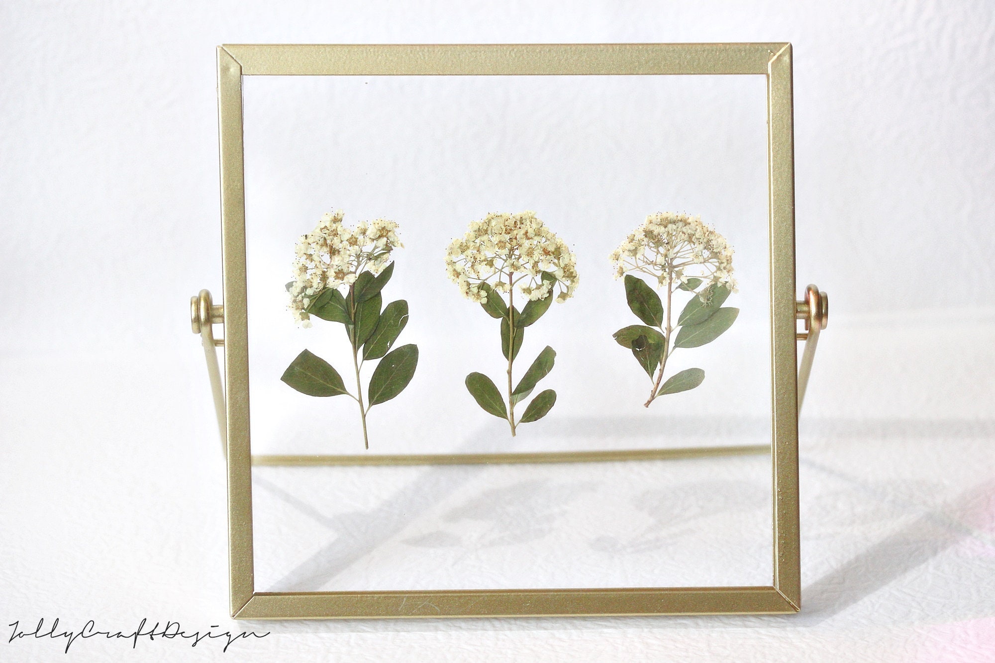 Pressed Flower Frame Herbarium Frame Floating Frame - Etsy