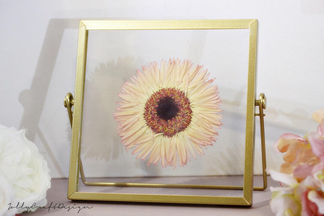 Light Pink Single Pressed Flower Frame, Floral Frame, Herbarium Frame ...