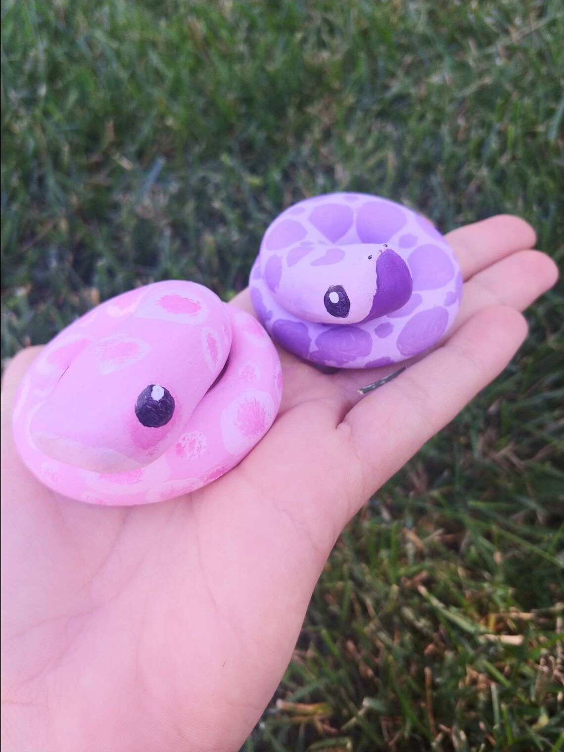 Bubblegum Hognose Snake - Etsy