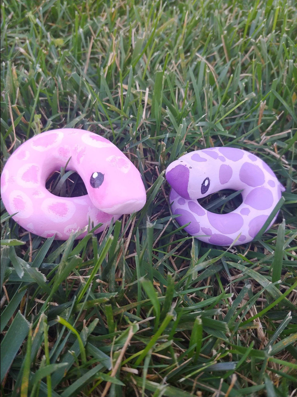 Bubblegum Hognose Snake - Etsy
