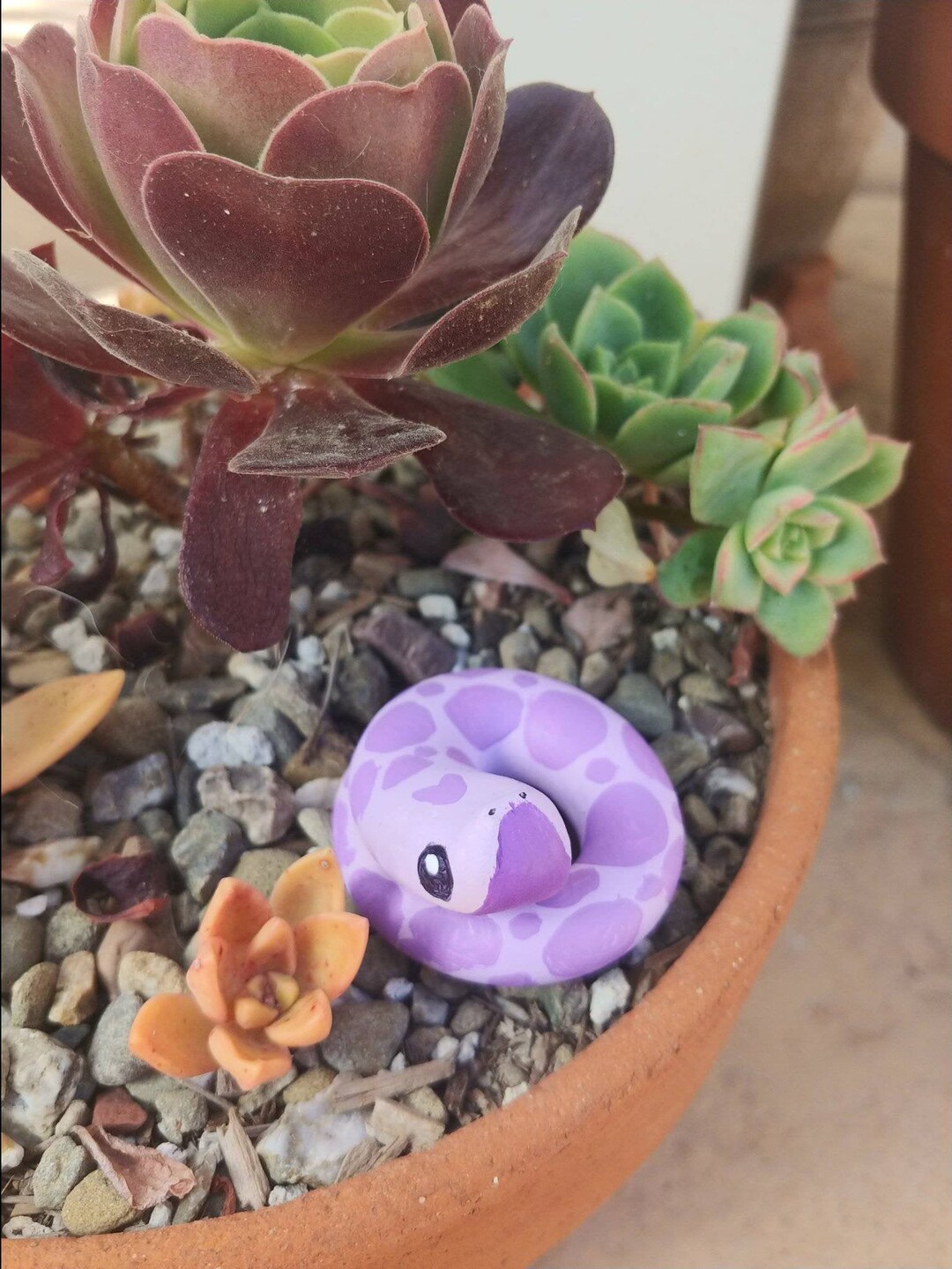 Bubblegum Hognose Snake - Etsy