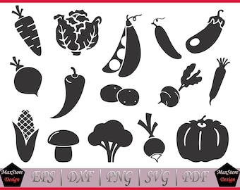 Vegetable Clip Art Set Hand-drawn Veggies Garden Vegetables - Etsy