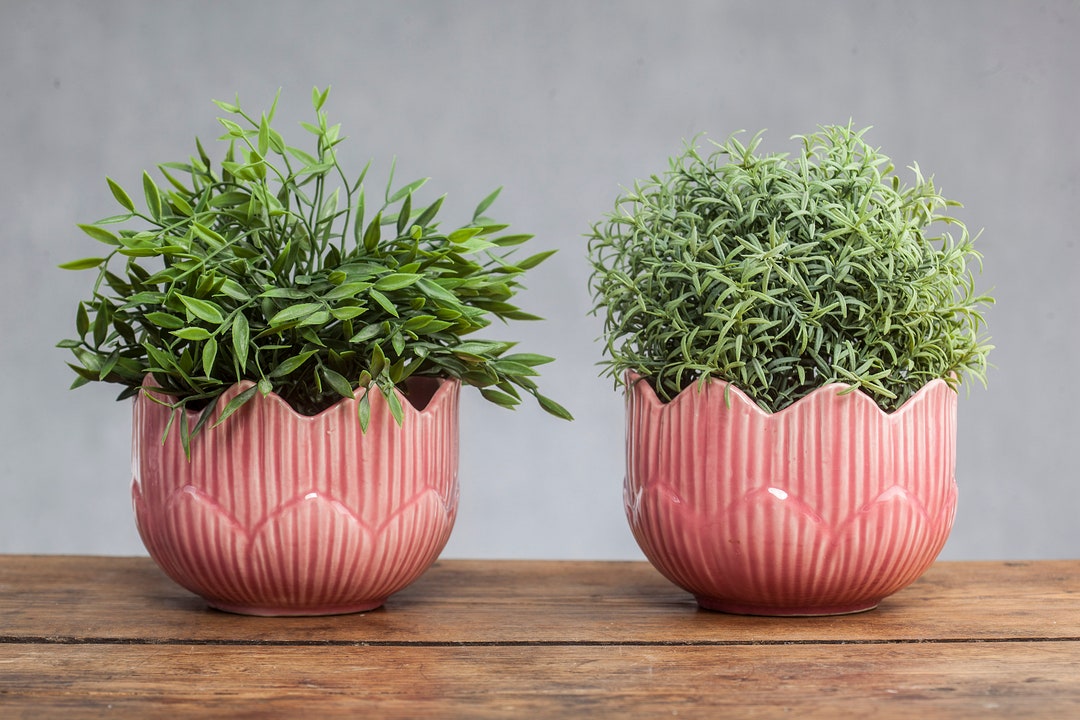 Set of 2 Vintage Ceramic Pink Flower Pots, Made in Sweden, Vintage ...