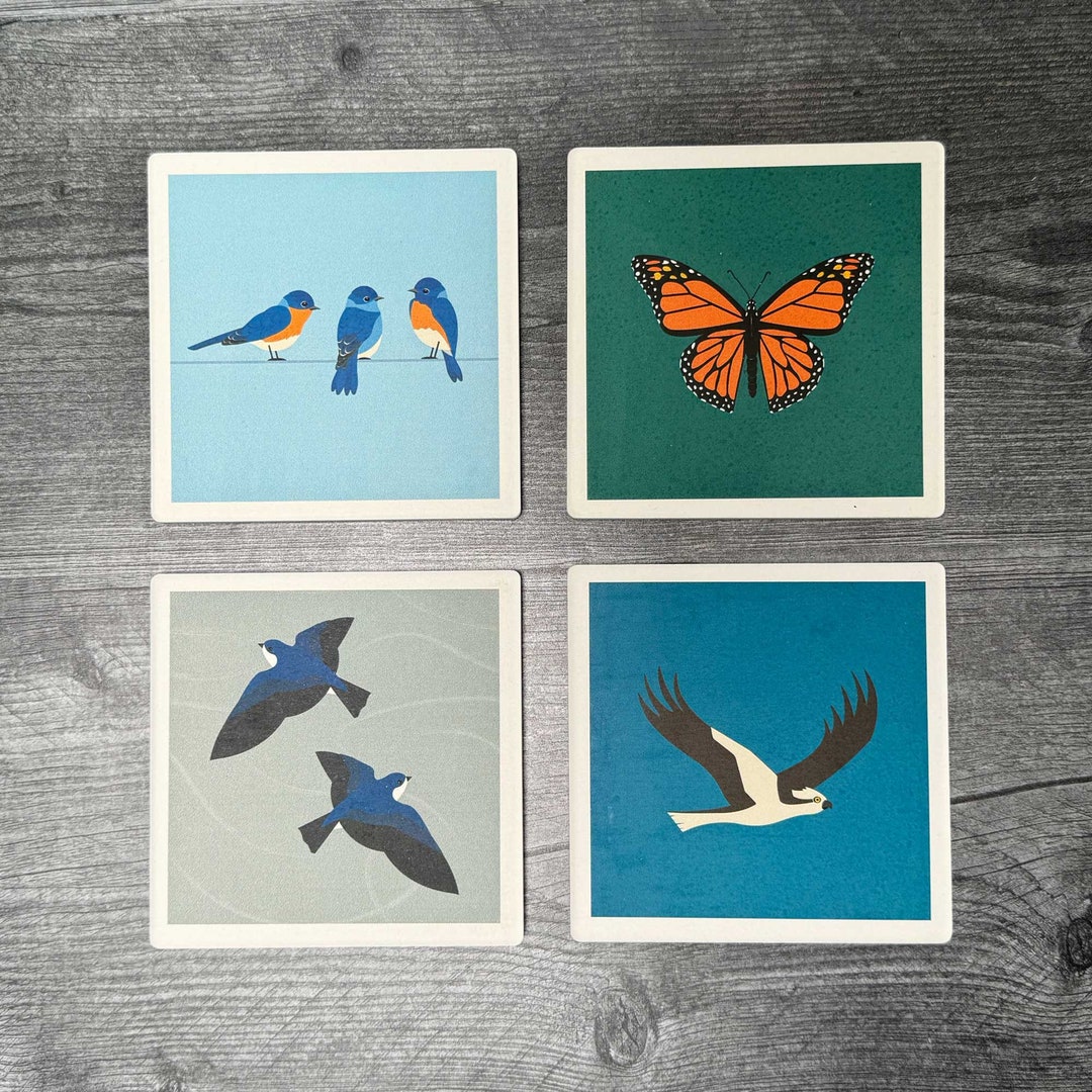 Wildlife Coaster Set: Absorbent Ceramic, Blue Bird, Tree Swallow ...