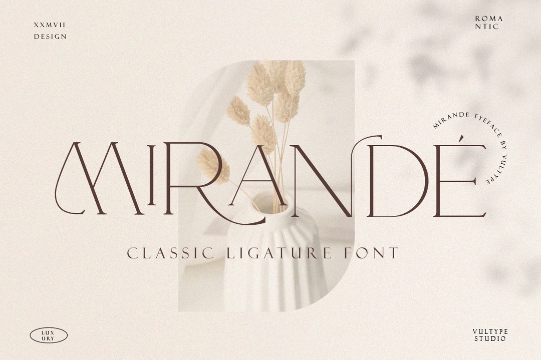Mirande Serif Font – Modern Logo Font (TTF, OTF) - Etsy
