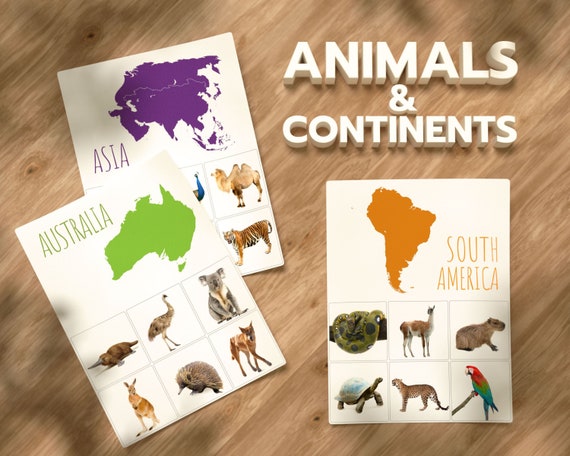 Animals continents cards montessori activity world animals | Etsy