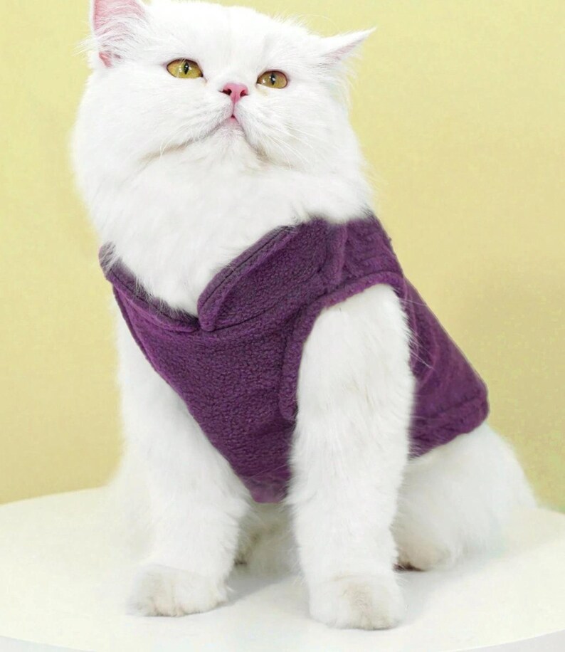 Cat Sewing Pattern, Cat Top Sewing Pattern, Sewing Pattern Pet, Pattern ...
