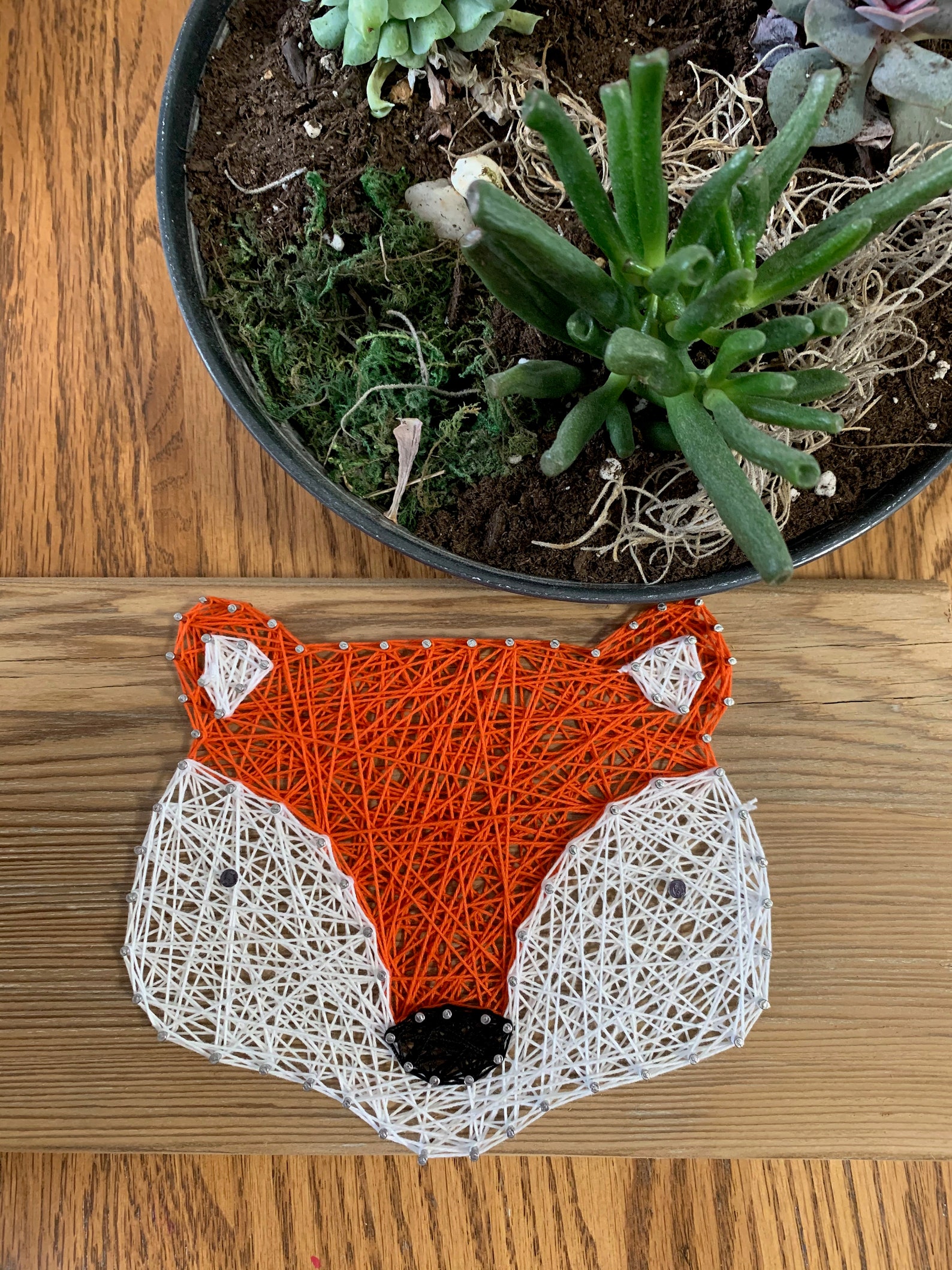 DIY Fox String Art Kit Do it Yourself Fox String Art Kit | Etsy