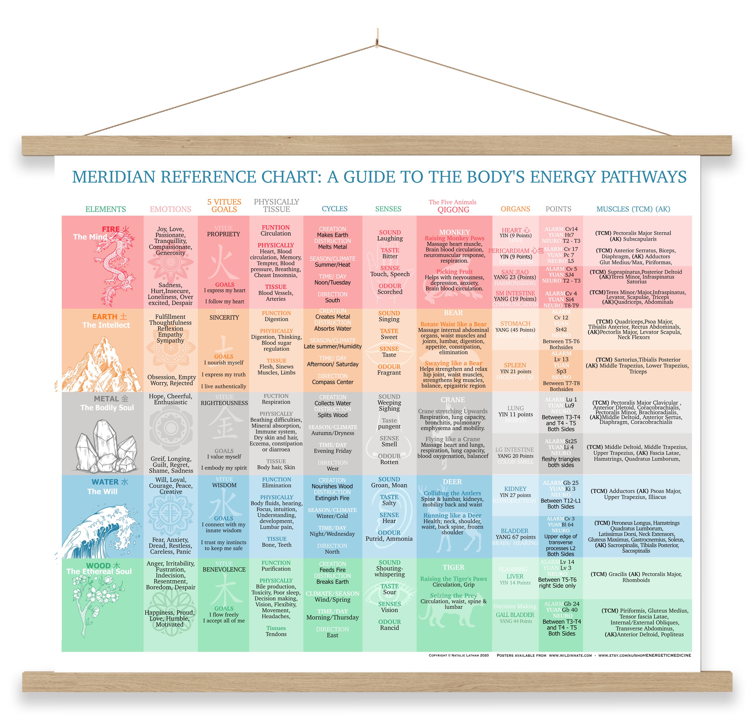 Meridian Reference Chart - Etsy