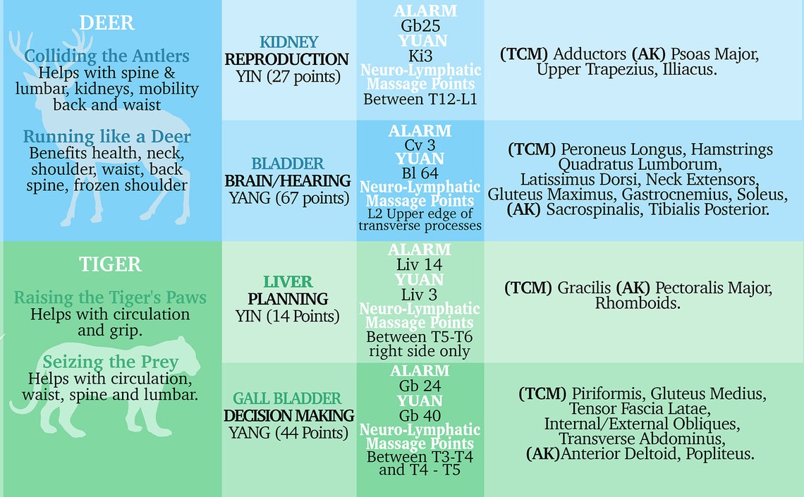 MERIDIAN Reference Chart - Etsy