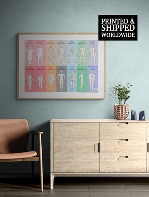 Acupuncture Meridians Poster Acupuncturist Gift Diagram - Etsy Canada