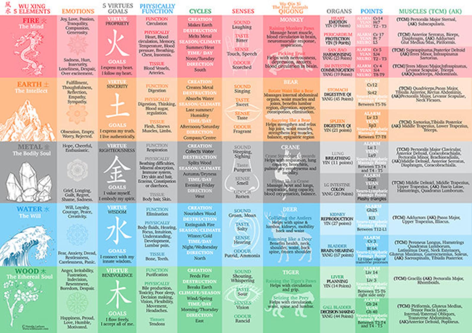 MERIDIAN Reference Chart | Etsy