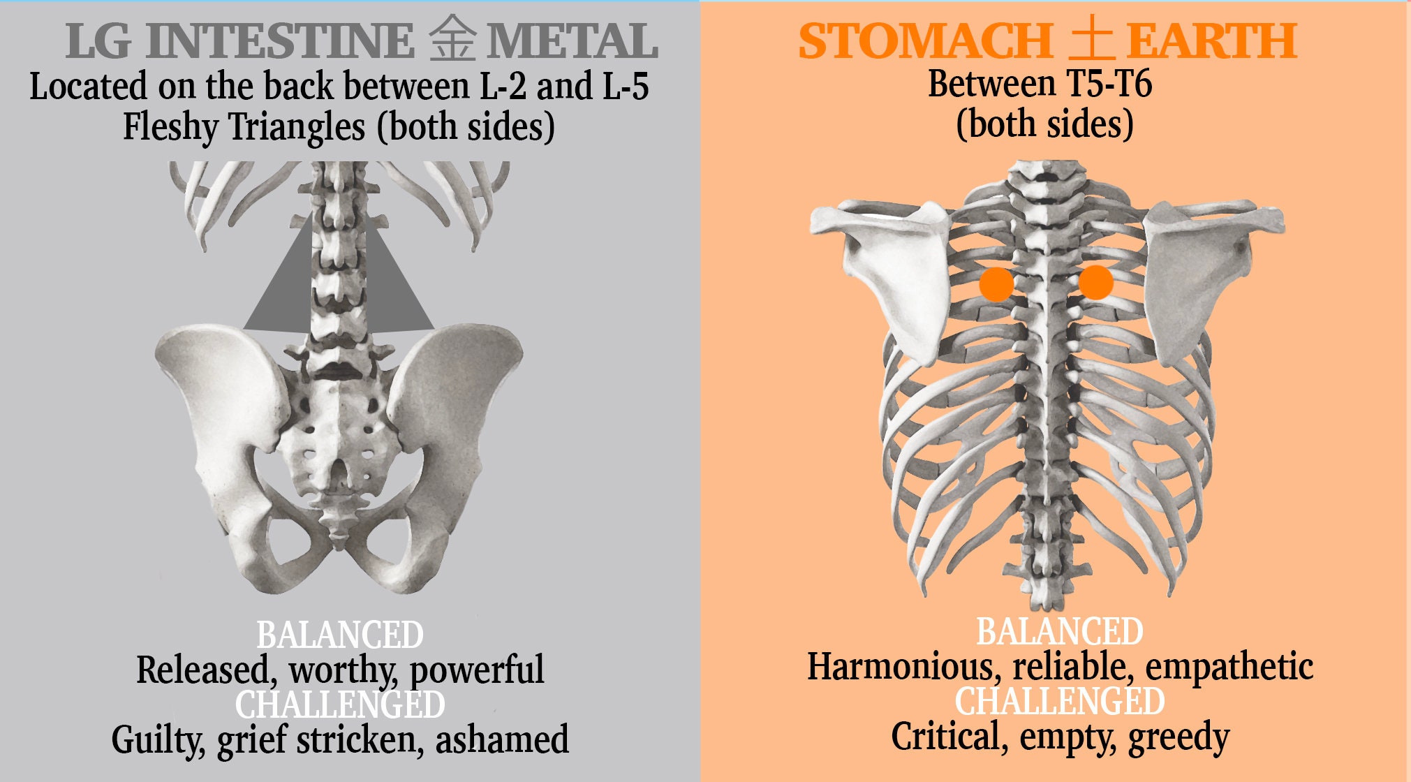 Neuro-lymphatic Massage / Emotions Poster - Etsy Australia