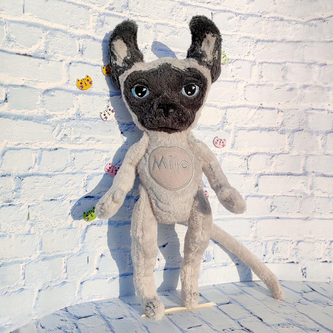 Cat Sphynx, Custom Elf Cat, Replica of Pet, Gift for Cats Lovers - Etsy